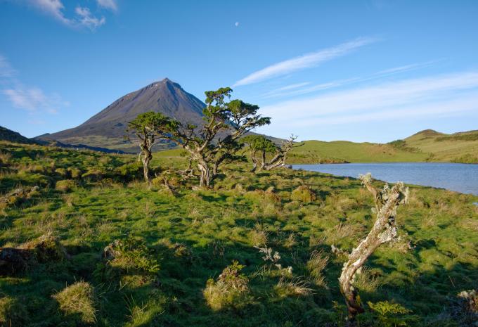 Lissabon & Azoren - City-Trip & Inselhüpfen | HOFER REISEN